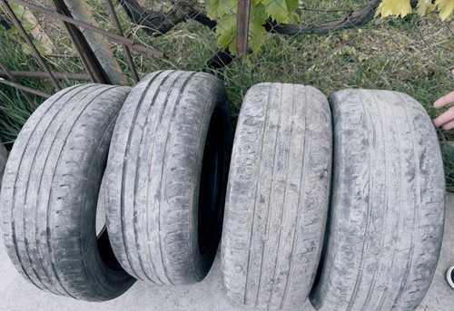 Nokian Tyres Nordman SX2 205/55 R16