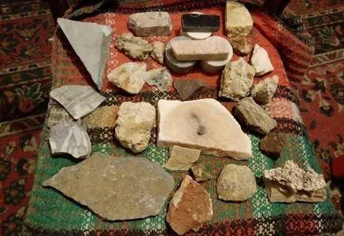 Коллекция минералов и окаменелостей
