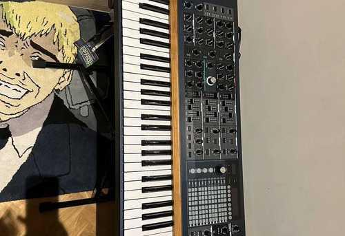 Arturia polybrute