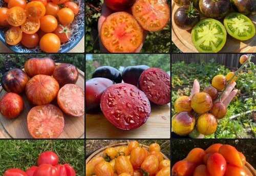 Набор семян томатов "Сладкоежка"
