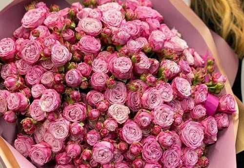 Роза Куст розовая Леди Бомбастик 50