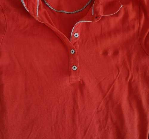 Marc o polo