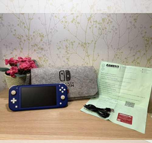 Nintendo switch lite