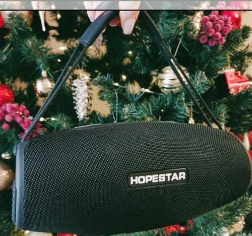 Блютуз колонка мощная Hopestar h 51 55w