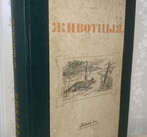 Животные. О. Шмейль. 1914 год