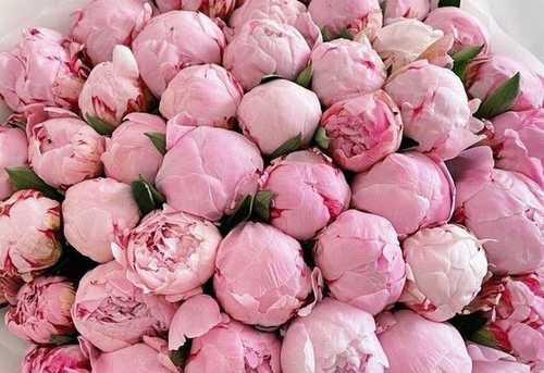 Розовые пионы букет цветов,цветы букеты, доставка