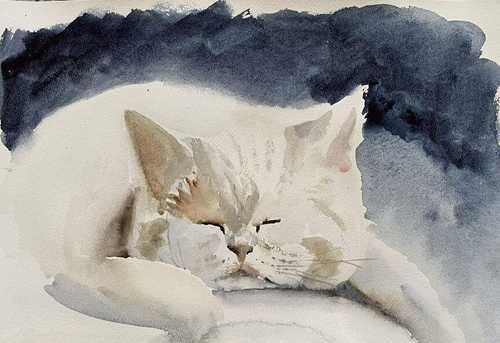 Картина Белый Пушистый Кот акварель
