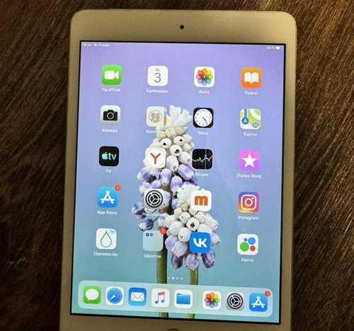 iPad mini 3 16 gb