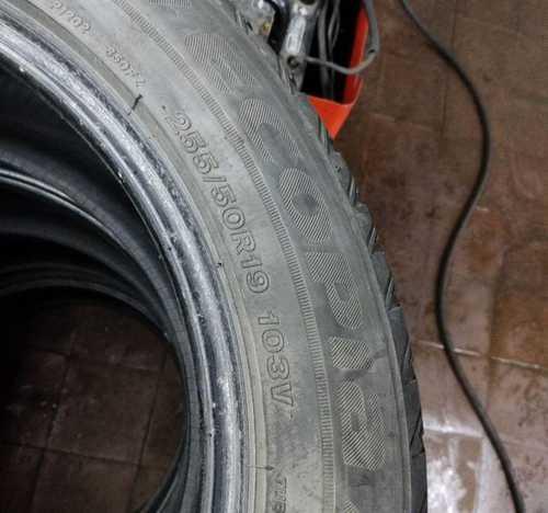 Bridgestone Ecopia EP850 255/50 R19