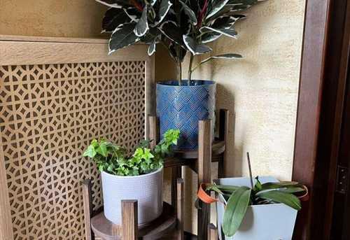 Подставка для цветов напольная деревянная новая
