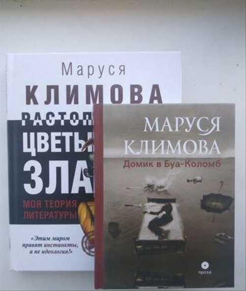 Книги Маруси Климовой