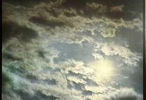 Виниловая пластинка Peter Green - In The Skies (Tr