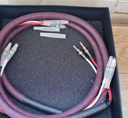 Tchernov Cable classic XS SC bn/bn