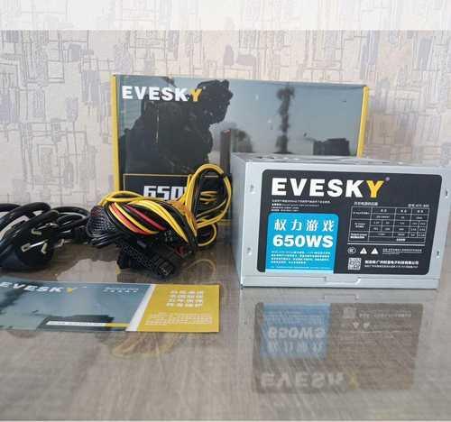Evesky 650WS