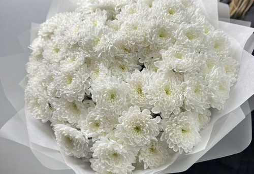 Белая кустовая хризантема большой букет доставка