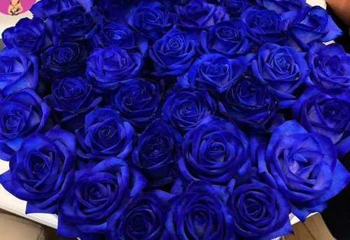 Розы, синие розы, букет из роз