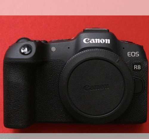 Canon eos R8 body