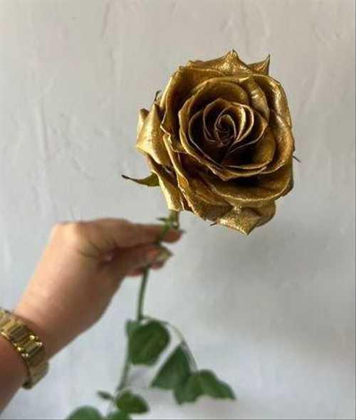 Золотая роза