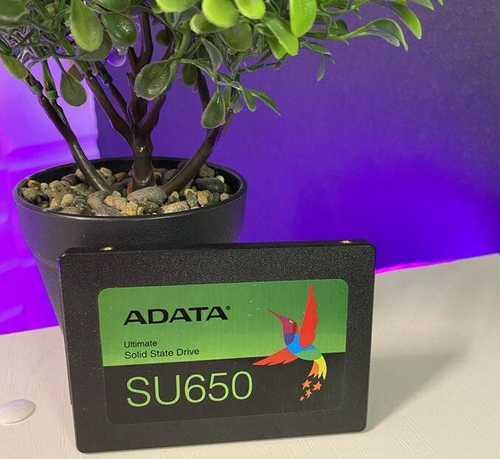 SSD SATA adata SU650 240gb