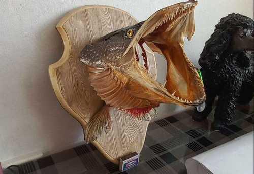 Чучело щуки