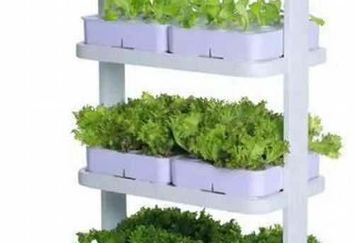 Гидропонная установка для выращивания зелени