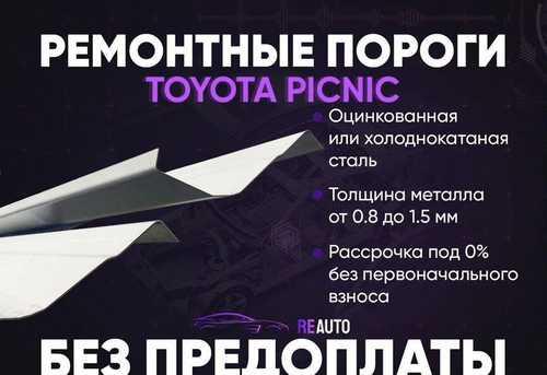 Ремонтные пороги на Toyota Picnic