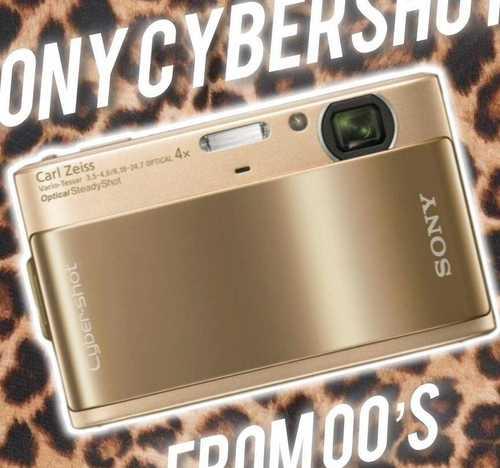 Sony cybershot y2k