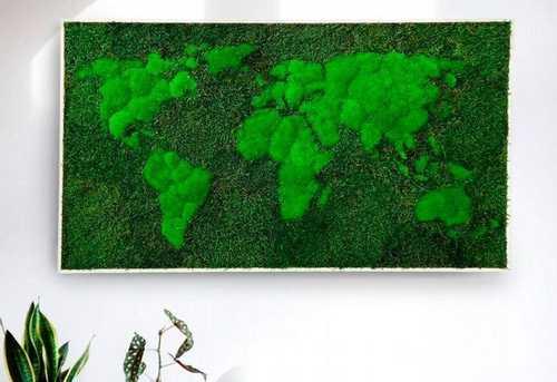 Карта мира из мха 'Зеленая карта природы / 150х70