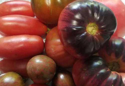 Рассада овощей томатов,перцев,баклажаны