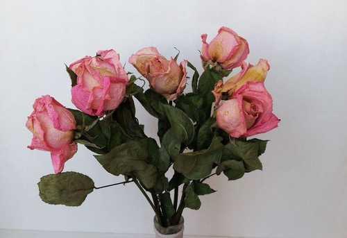 Сухие цветы розы