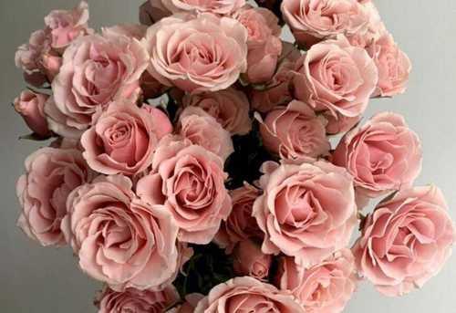 Розы букеты цветы Доставка