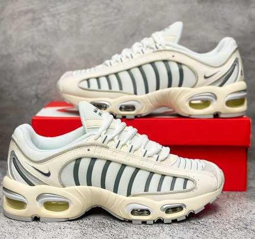 Кроссовки Nike Air Max Tailwind 4