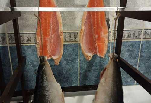 Сушилка для рыбы и мяса (вялить; +перед копчением)