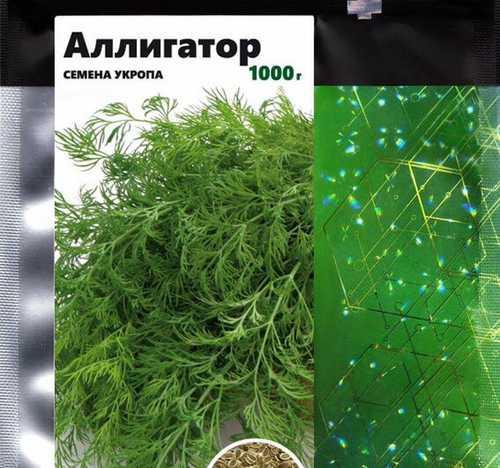Семена укропа Аллигатор 1 000 грамм