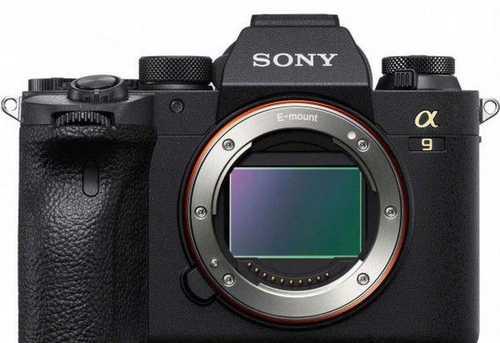 Фотоаппарат Sony Alpha A9 II Body