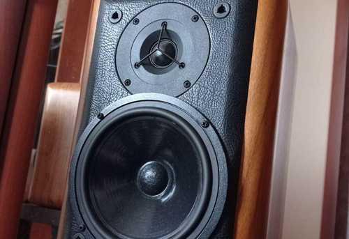 Акустика sonus faber minuetto