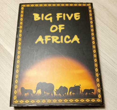 Монеты Big five of Africa (набор)