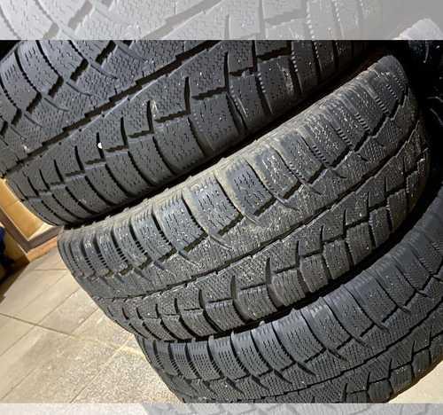 Cordiant Polar SL 195/65 R15