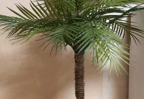 Искусственная пальма