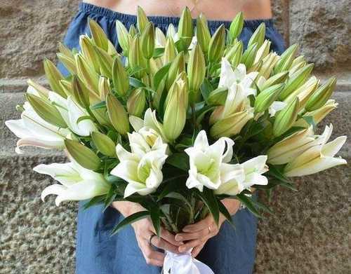 Букет из 17 белых лилий, цветы доставка
