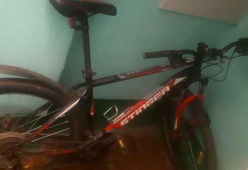 Stinger aragon (29)