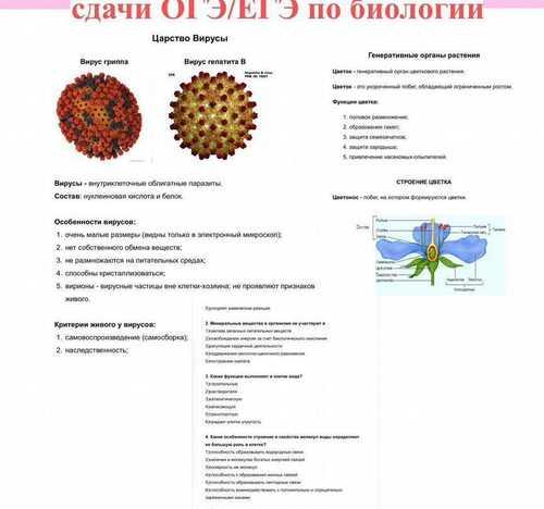 Конспекты по биологии для ЕГЭ, ОГЭ с заданиями