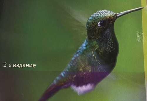 SEO искусство раскрутки сайтов