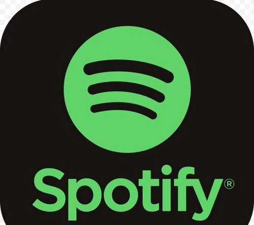 Spotify premium 1-12 месяцев