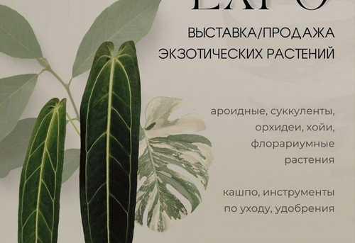 Выставка-продажа растений