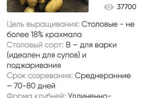Сортовой картофель королева анна цена за кг
