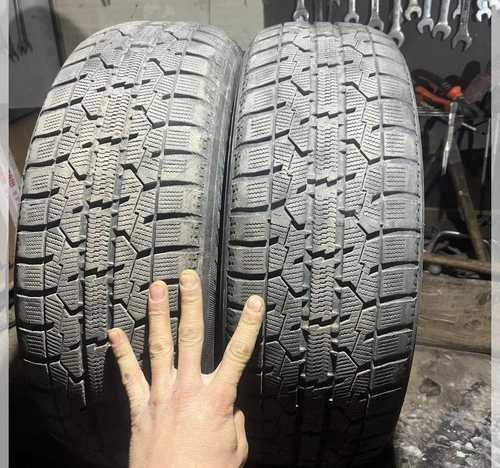 Accelera Eco Plush 185/65 R15 65L