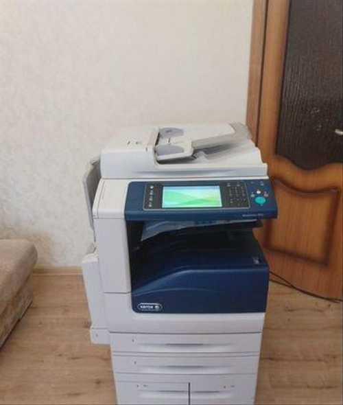 Мфу лазерный цветной xerox