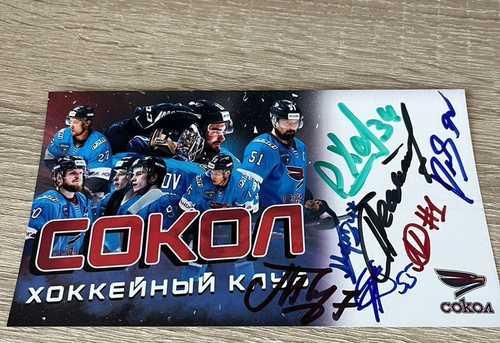 Автографы игроков сокола