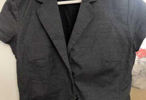 Пиджаки zolla H&M